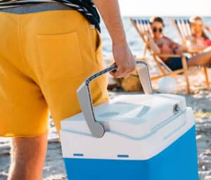 Your Guide to Preventing Fly Bites at the Jersey Shore | Flies On The Beach