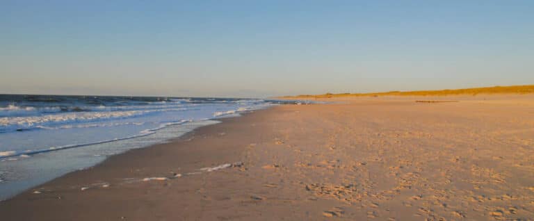 The Ultimate Jersey Shore Beach Guide 2026 | Flies on the Beach